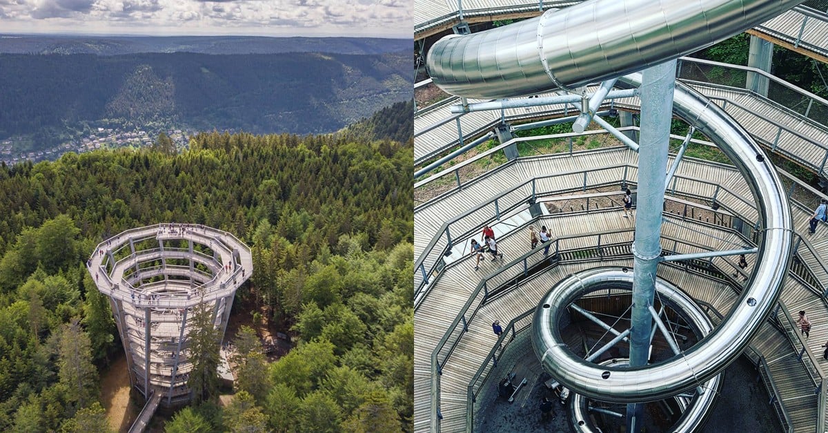Treetop Slide in Germany | Baumwipfelpfad Schwarzwald | PS Smart Living