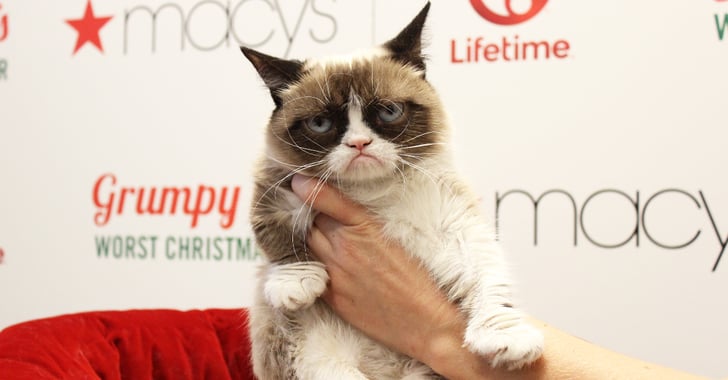 Grumpy Cat's Worst Christmas Ever Interview | POPSUGAR Tech