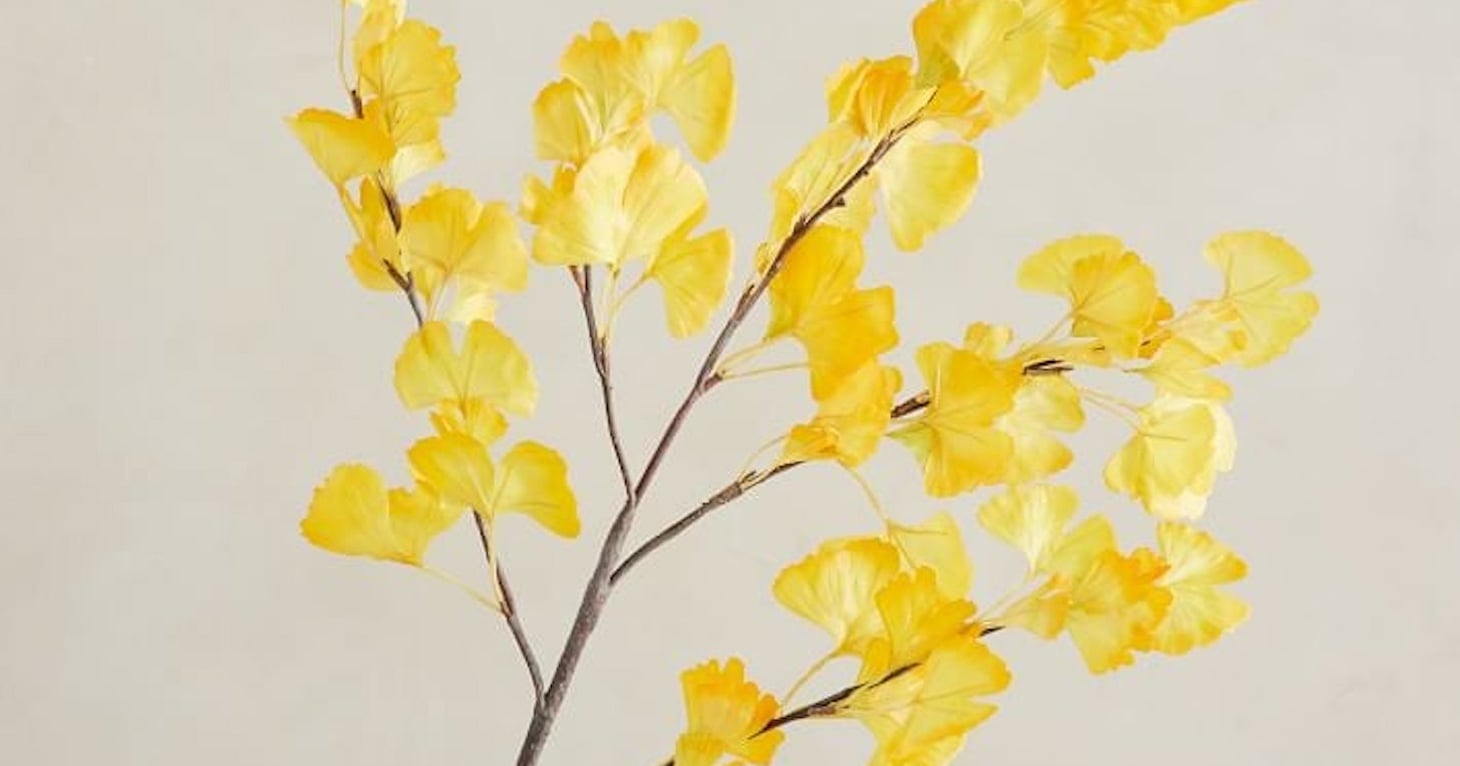 The Biggest Colour Trends of 2021 | PS UK Smart Living