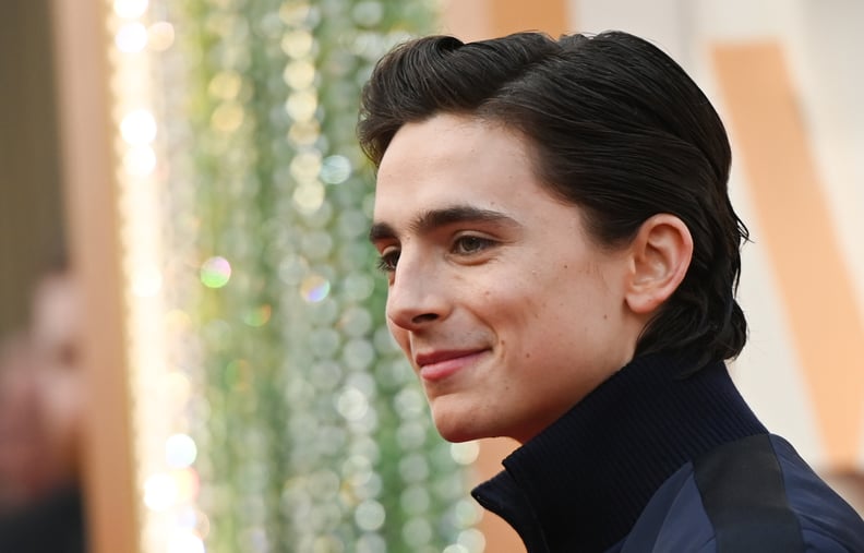 Timothee Chalamet's Wet Hairstyle at the Oscars 2020 | PS Beauty