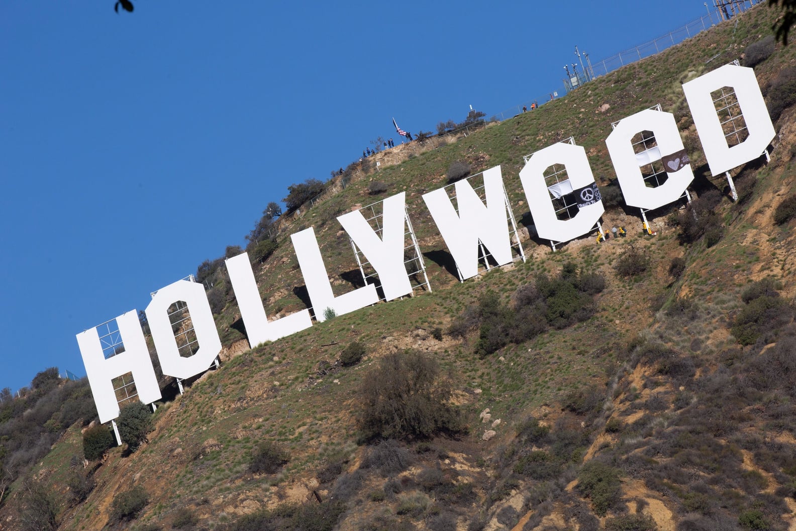 Memes Inspired by Hollywood Sign Prank | PS Tech