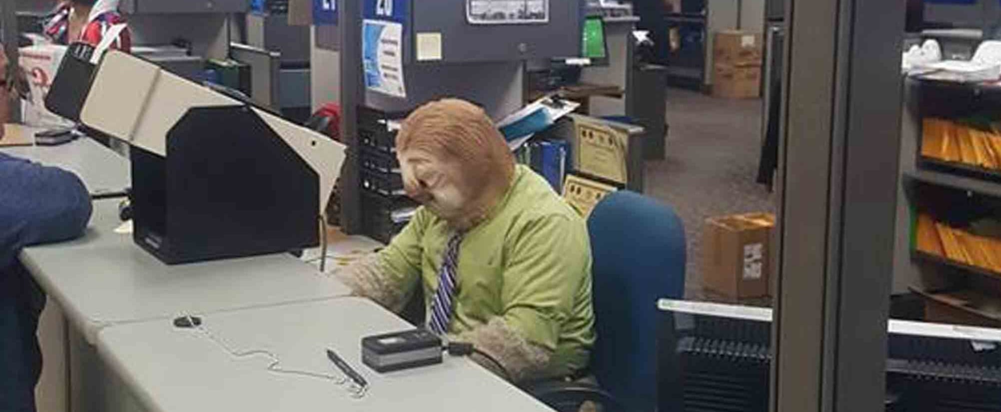 Person Wears Sloth Costume to the DMV | PS Family