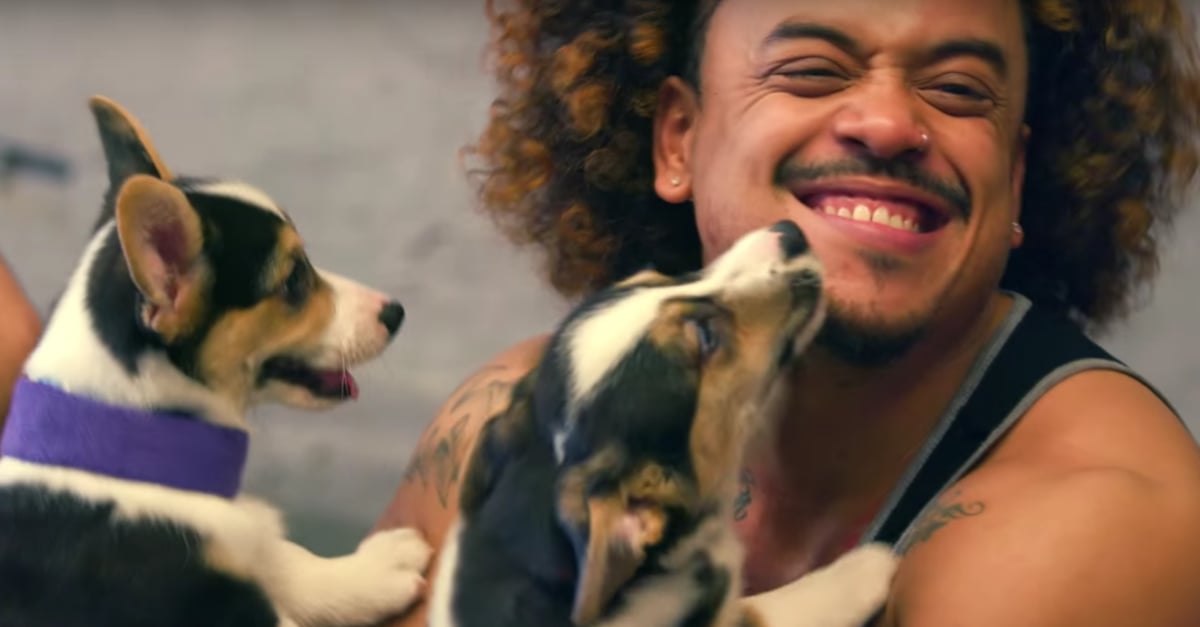 Power of Puppies Video | POPSUGAR Pets