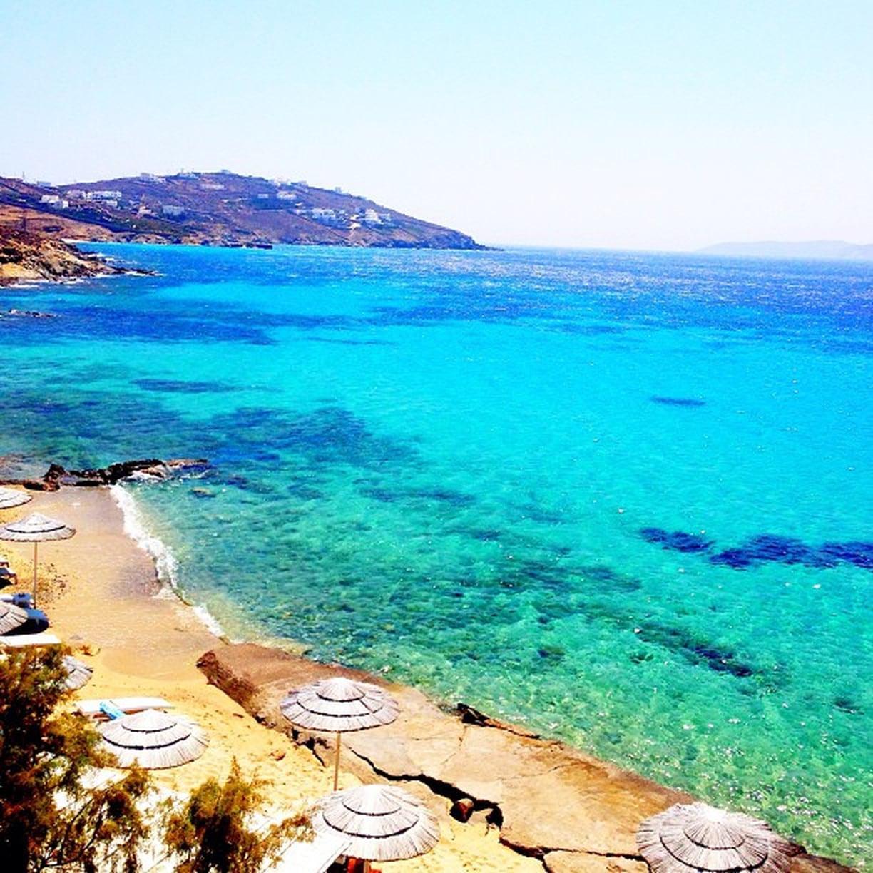 Rich Adults of Instagram | PS Smart Living