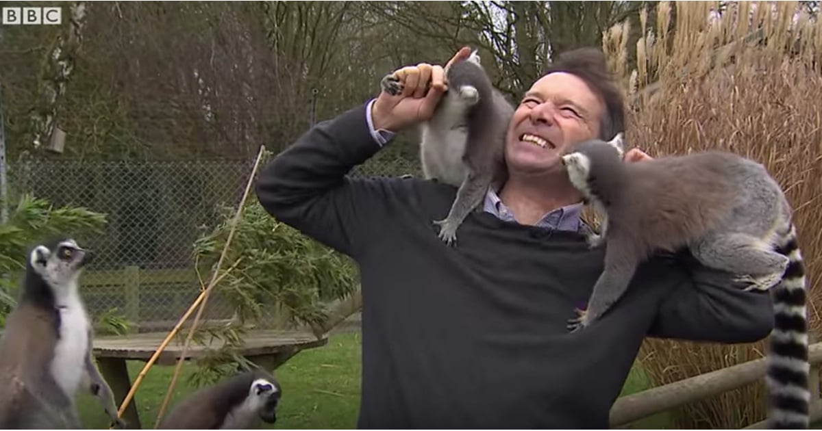 BBC Alex Dunlop With Lemurs | POPSUGAR Celebrity UK