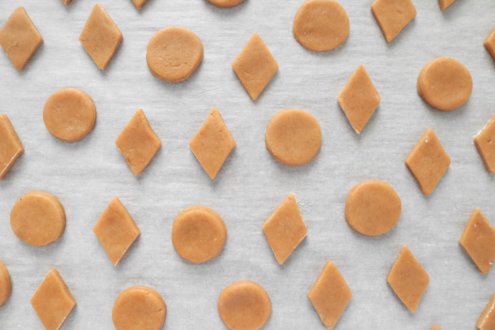 Homemade Dunkaroos Recipe with Photos | PS Food