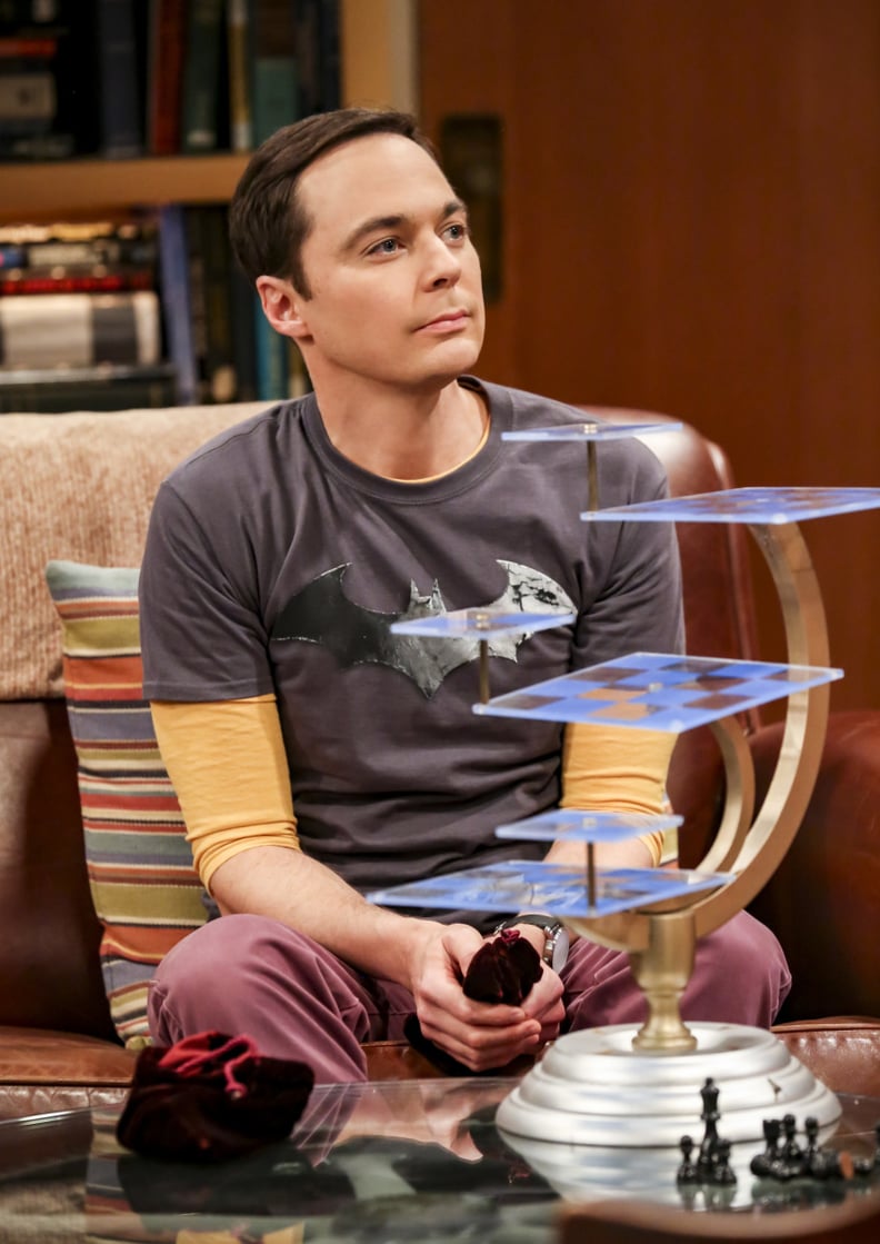 The Big Bang Theory Cast in Real Life | PS Entertainment