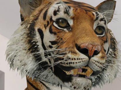 How to Use Google's "View in 3D" Feature to See Animals | POPSUGAR Tech