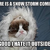 Blizzard Memes | POPSUGAR Tech