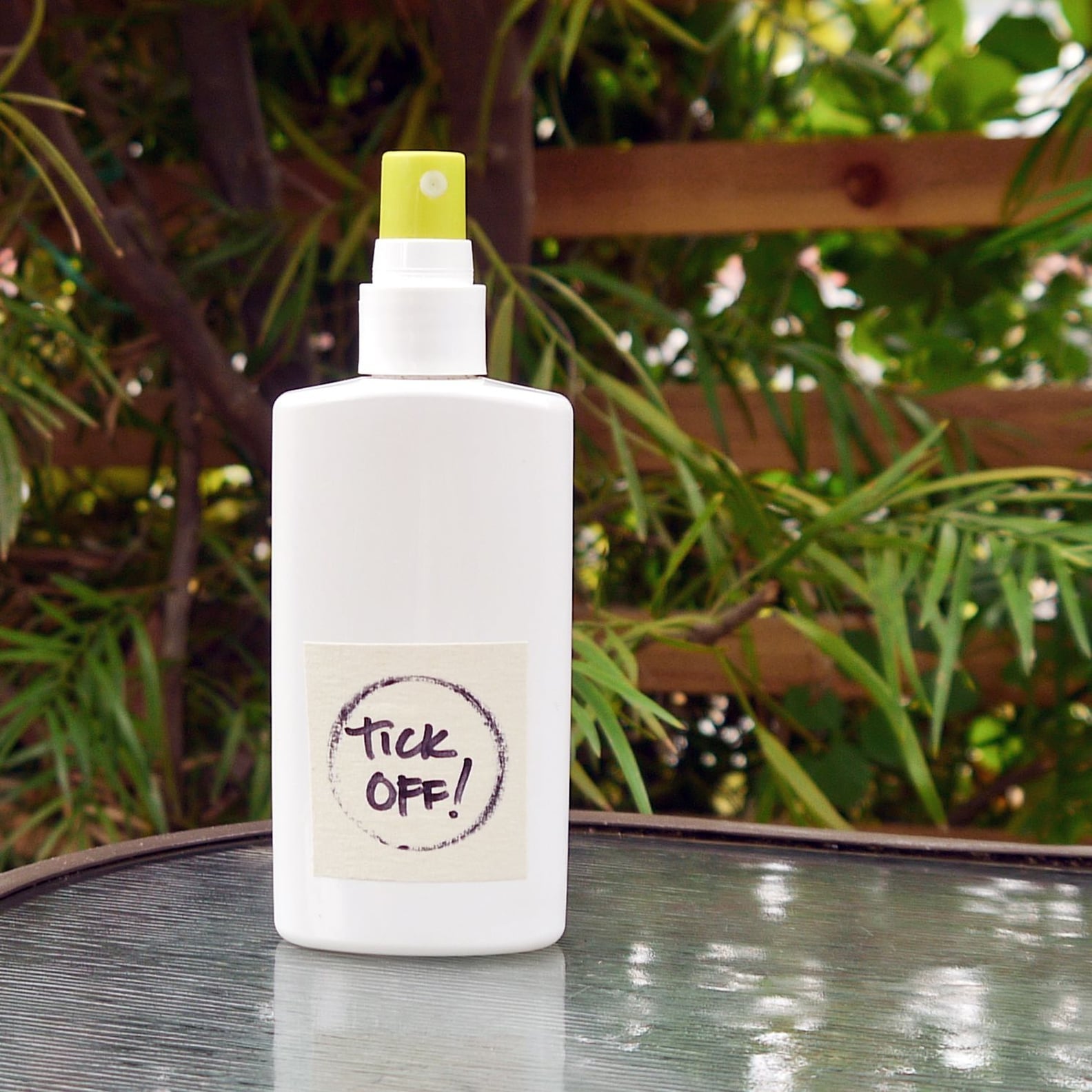 Natural Bug Repellents | PS Smart Living