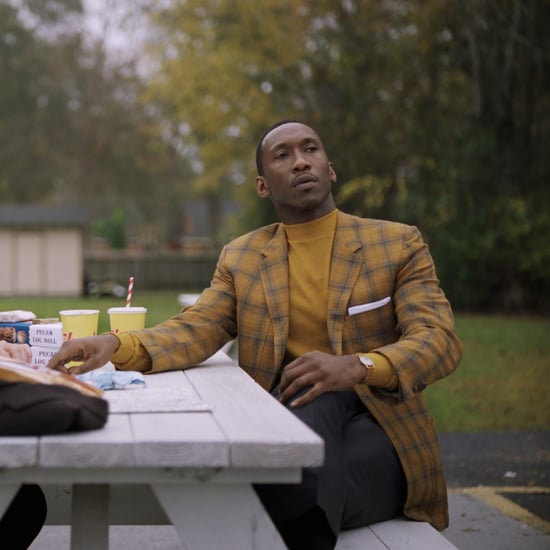 Is Green Book Based on a True Story? | POPSUGAR Entertainment