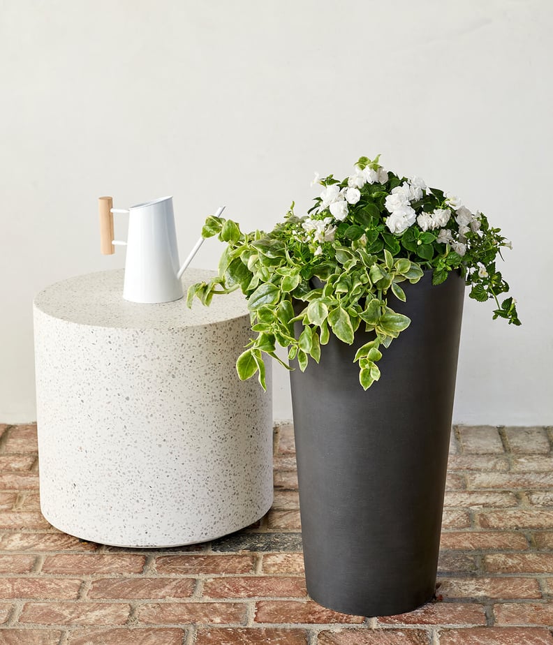 Bloomscape Outdoor Plant Launch | PS Home
