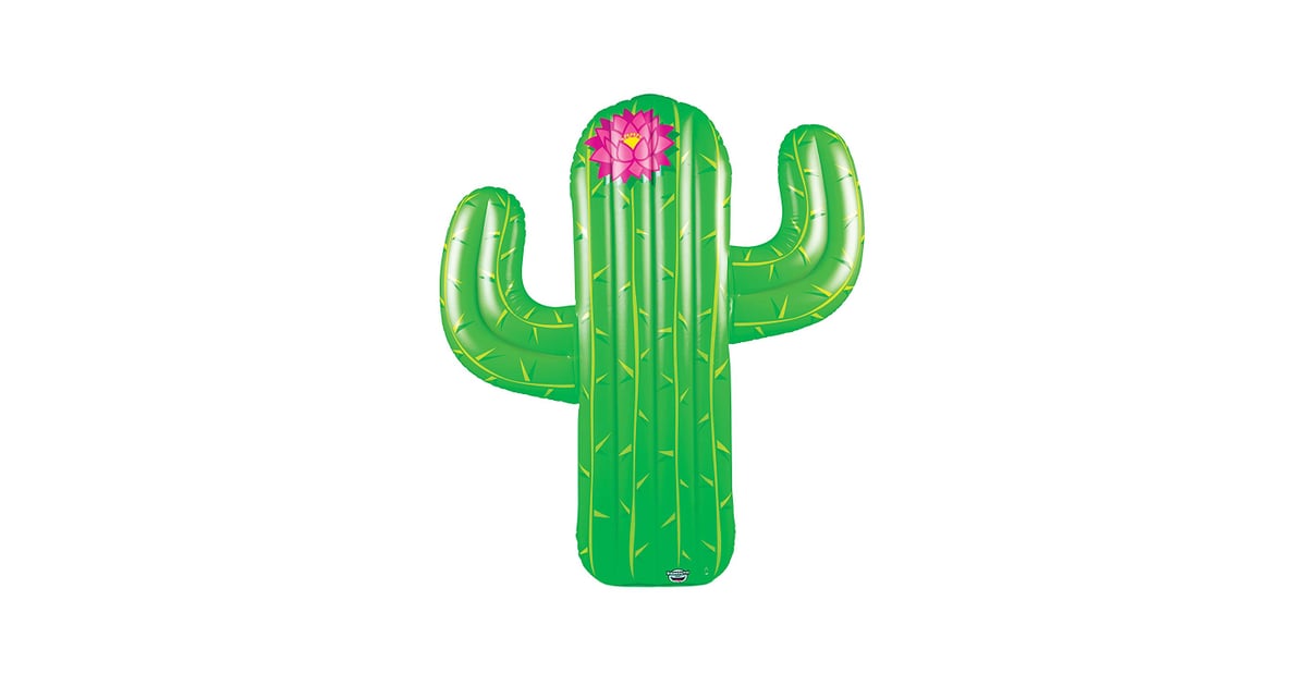 Giant Cactus Pool Float | Best Gifts For Plant-Lovers | 2019 | POPSUGAR ...