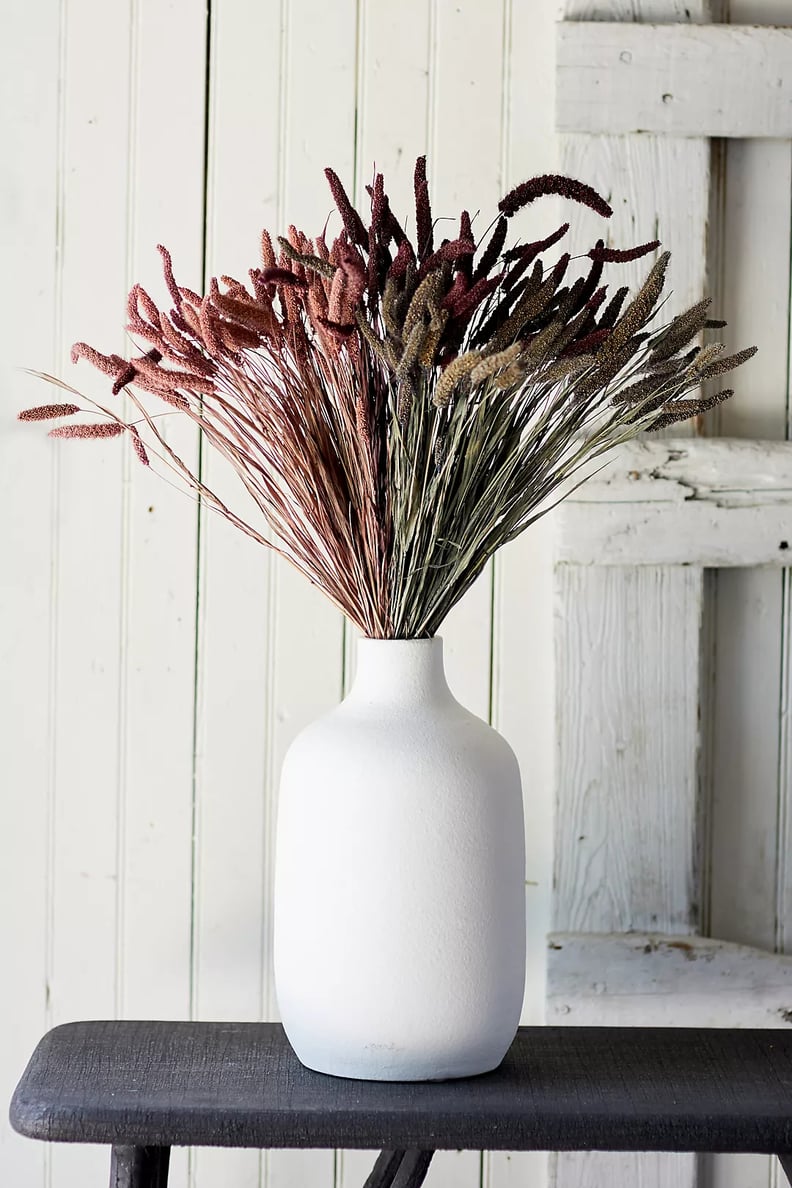 Best Plants and Dried Flowers From Anthropologie | PS Home