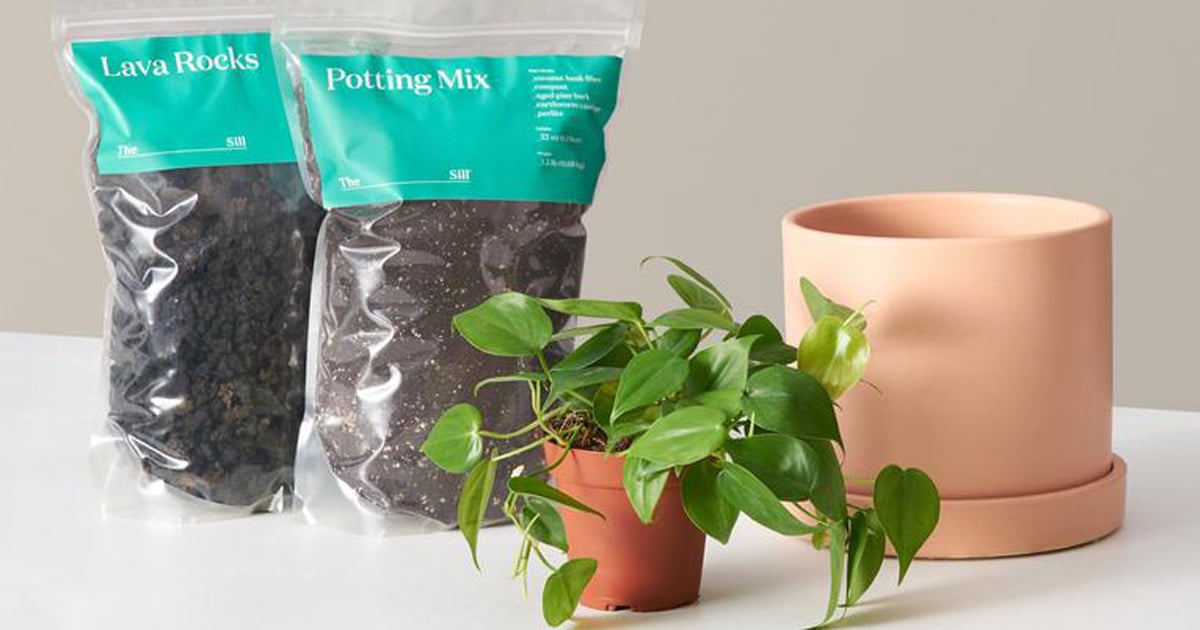 Gifts For Plant Parents | POPSUGAR Home