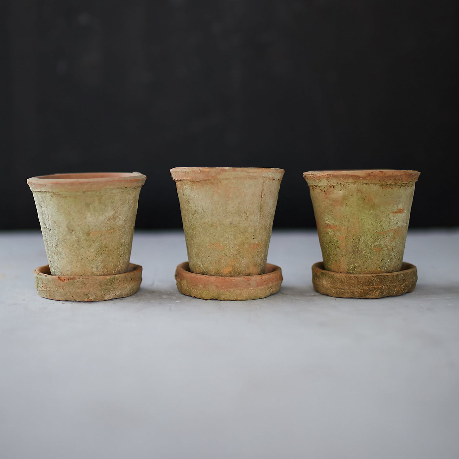 Best Outdoor Planters From Terrain | PS Home