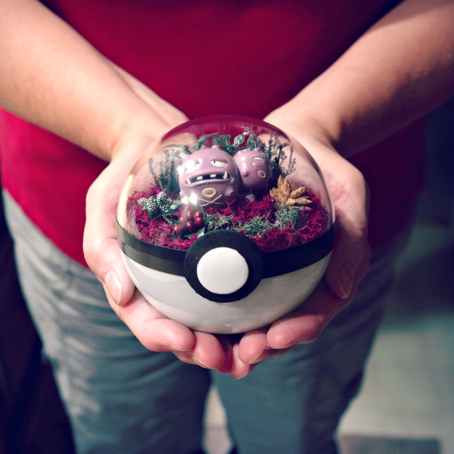 Where Can You Buy Pokemon Terrariums? | PS Tech