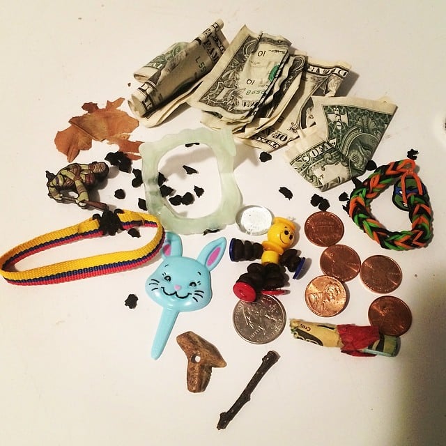 The Awesome Things You'll Find in Boys' Pockets | POPSUGAR Family