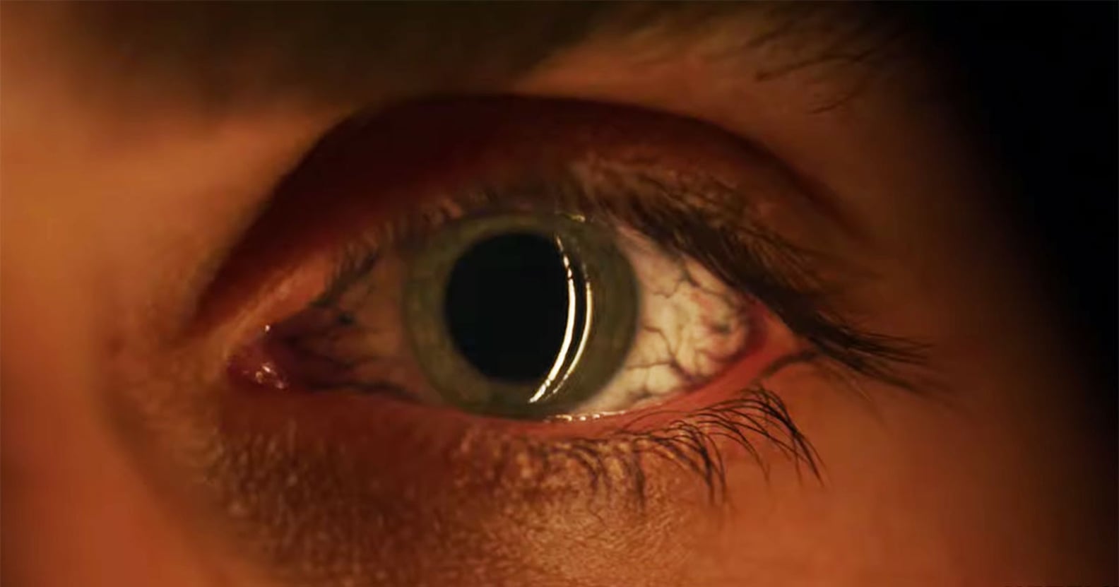 What Is the Monster in Stranger Things Season 3 Theory | PS Entertainment