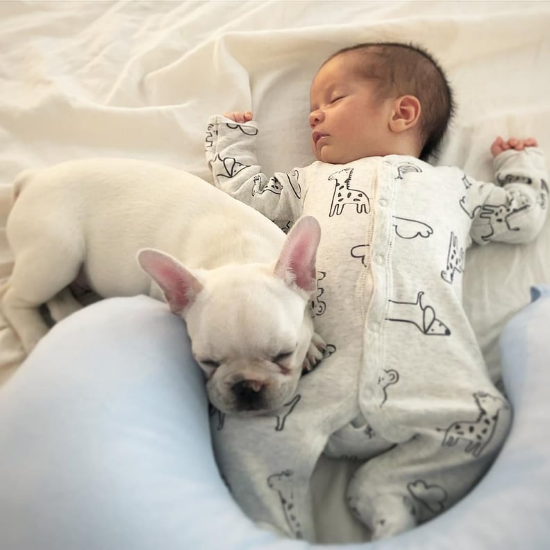 Cute Pictures of Dogs Napping With Kids and Babies | PS Family