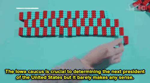 What Is a Caucus? | PS News