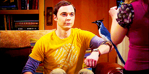 The Big Bang Theory Sheldon GIFs | PS Entertainment