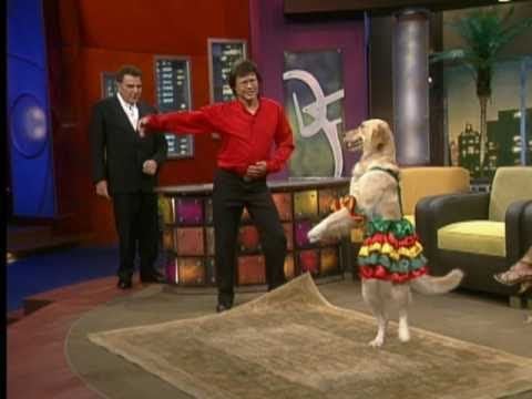 Biggest Sabado Gigante Moments | POPSUGAR Latina