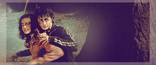 And Harry Protected Hermione From Lupin When He Was A Werewolf Why Harry And Hermione Should