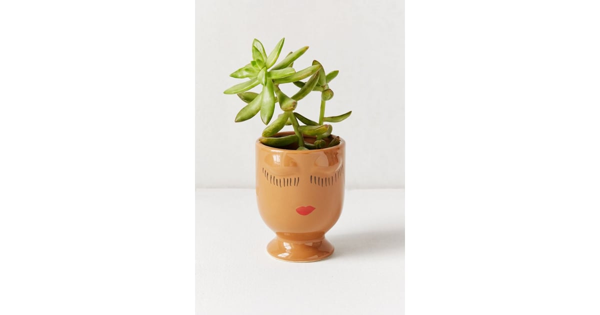 Celfie Planter | Best Gifts For Coworkers 2018 | POPSUGAR Smart Living ...
