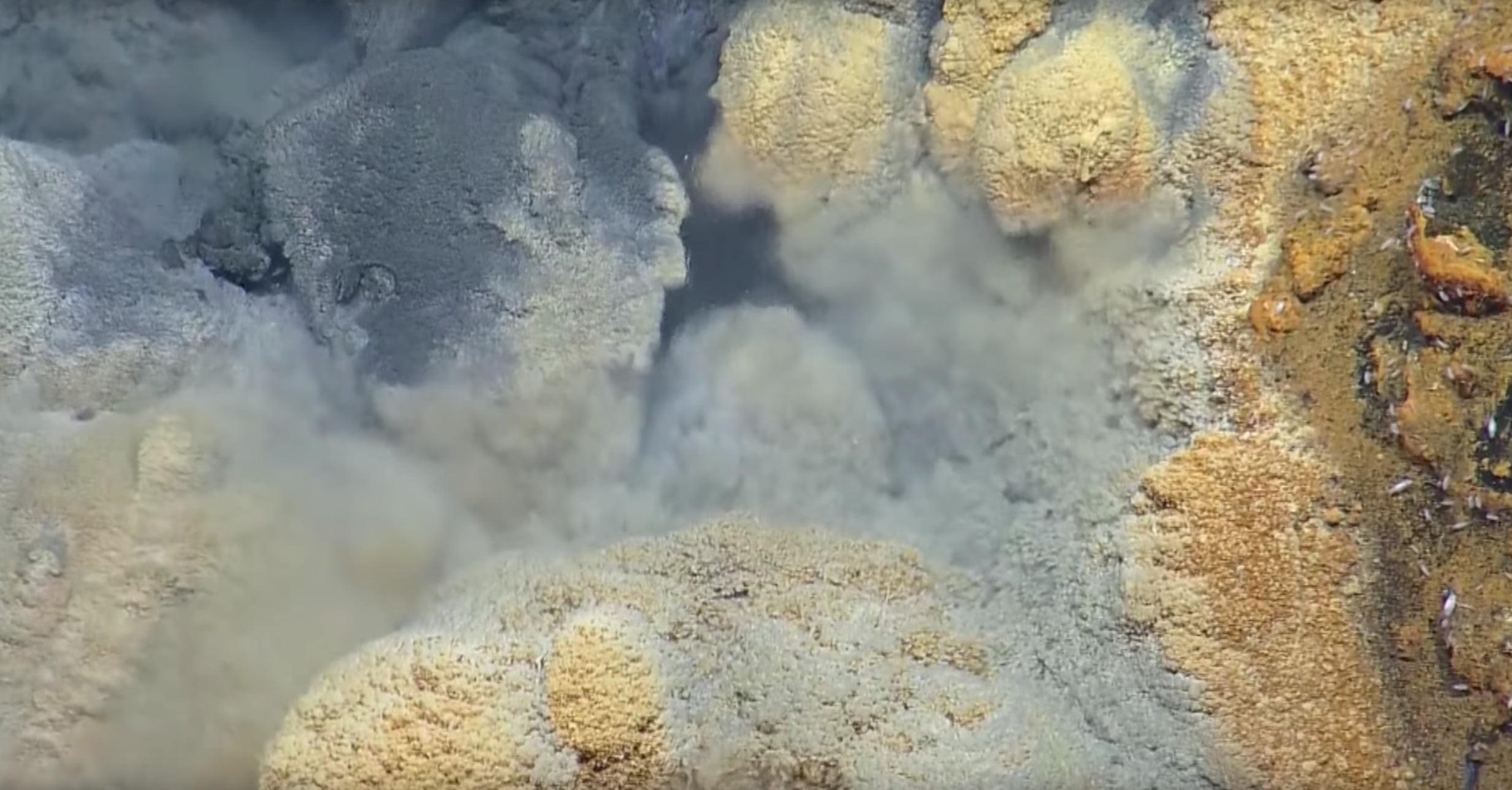 Toxic Lake Discovered in Gulf of Mexico | POPSUGAR Smart Living