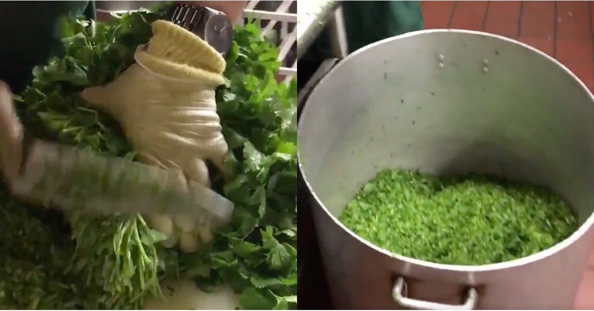 How to Chop Cilantro | POPSUGAR Food