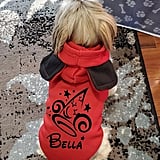 Warm and Cozy Disney Sweaters For Dogs | POPSUGAR Pets