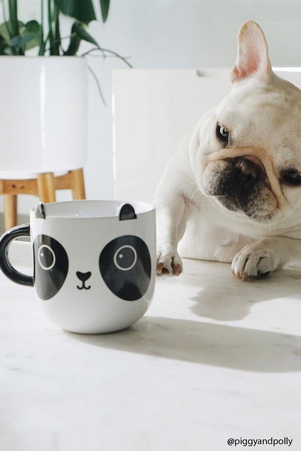 Cheap Gifts From Forever 21 | POPSUGAR Smart Living