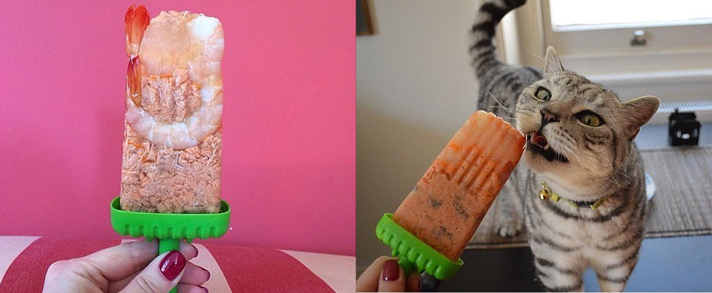 Homemade Salmon Popsicle Cat Treat | PS Pets