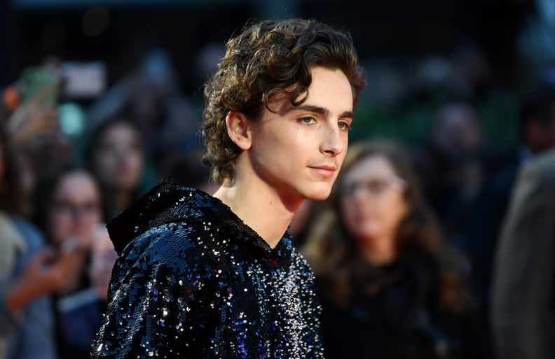 An Ode to Timothée Chalamet's Insanely Chiseled Jawline | POPSUGAR ...
