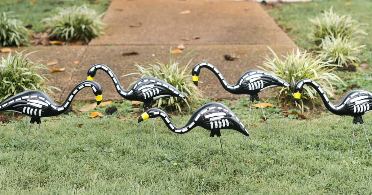 These Skeleton Flamingos Are Scary Easy to DIY For Halloween | POPSUGAR ...