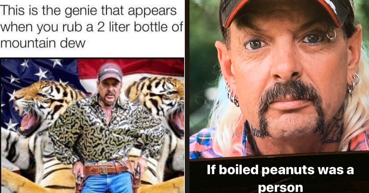 Best Tiger King Memes | PS Entertainment