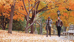 Fall Movie GIFs | PS Entertainment