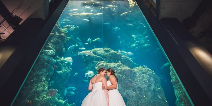 Aquarium Wedding Ideas Popsugar Love And Sex
