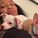 Lizzo's Crew Member Adopts a Rescue Puppy While on Tour | POPSUGAR Pets