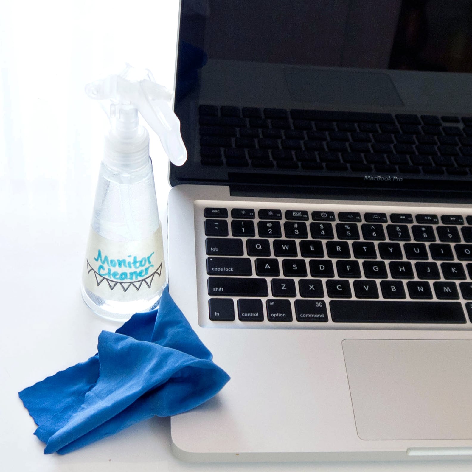 Homemade Monitor Cleaning Spray | PS Smart Living