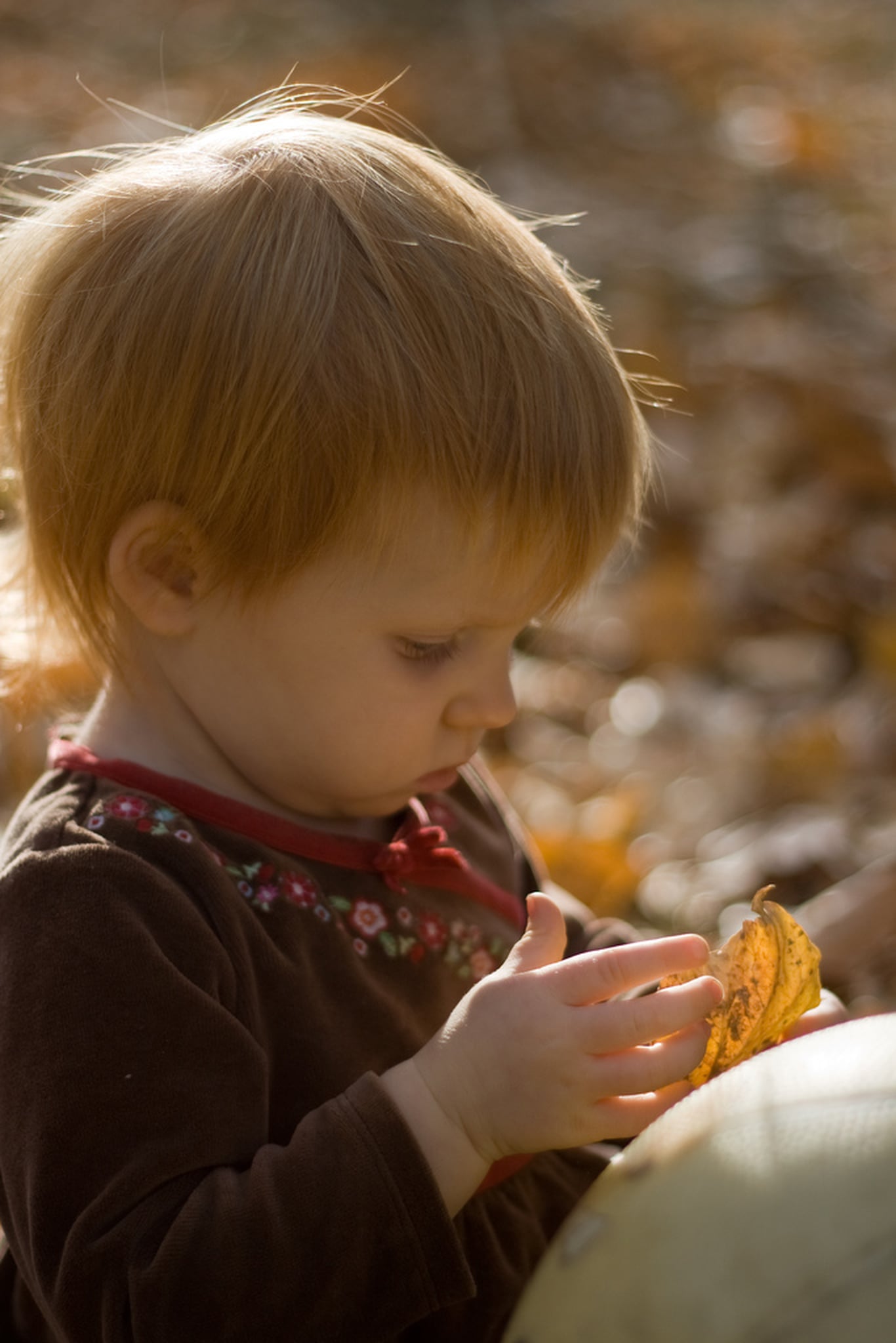 Fall Leaves Kid Photo Inspiration | PS Family