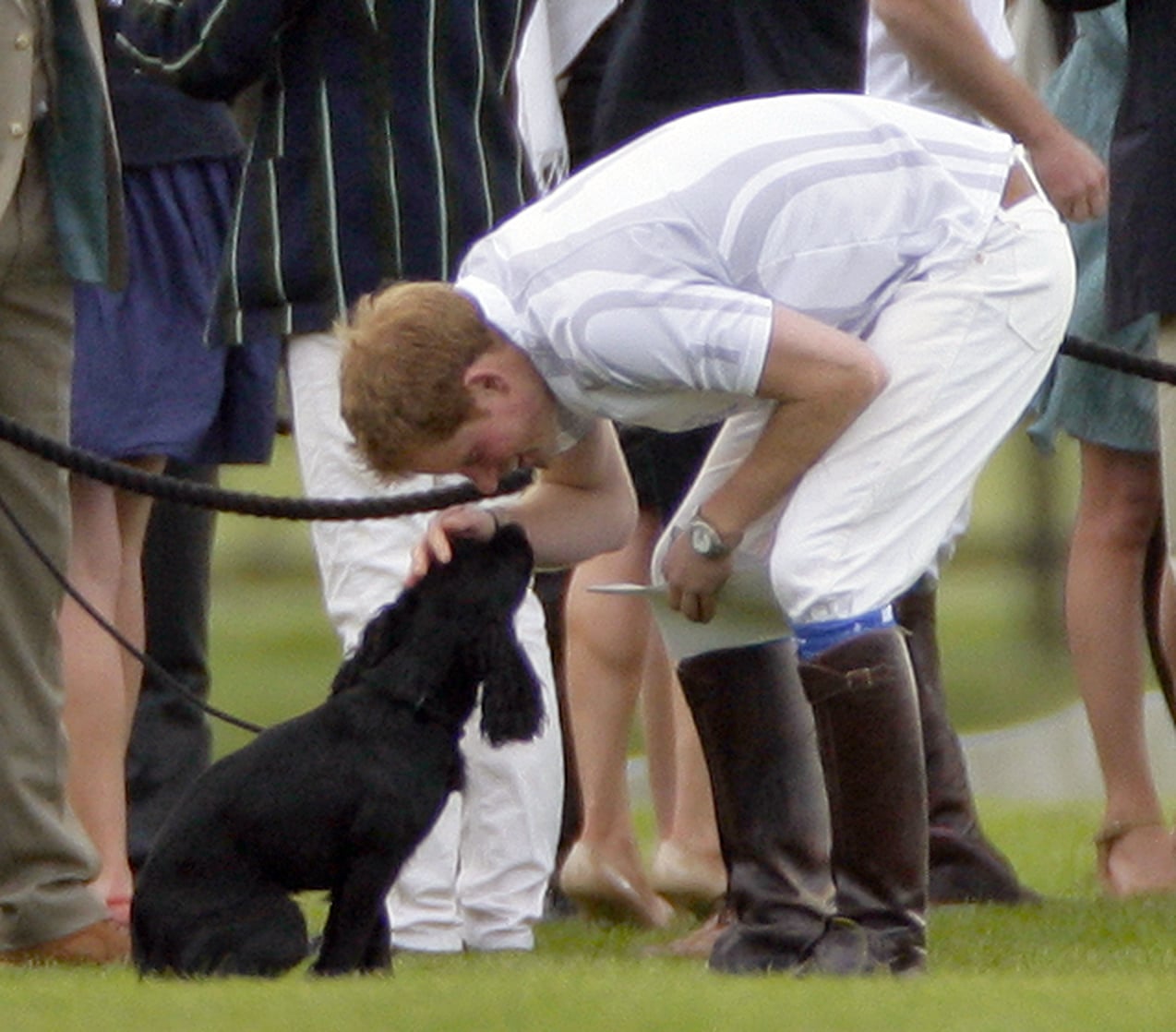 Prince Harry With Dogs Pictures | PS Celebrity