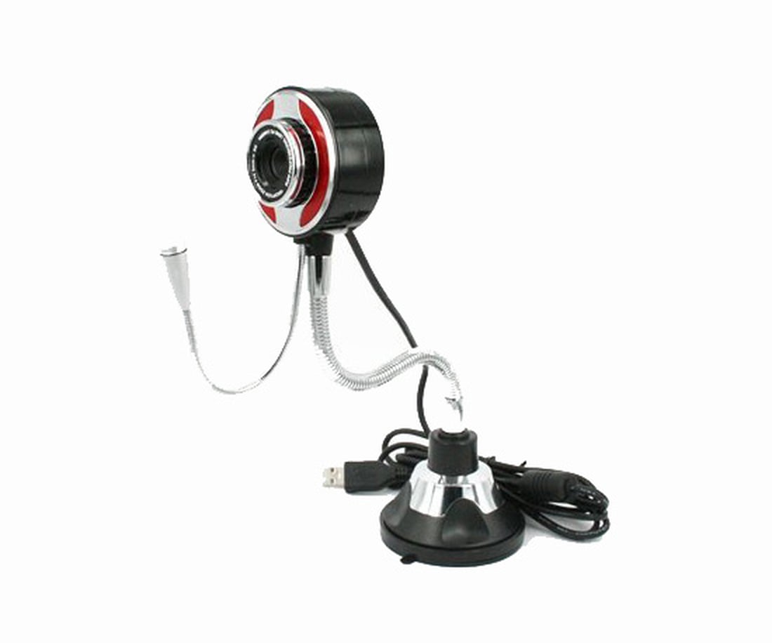 How to Set Up a Puppy Cam | PS Pets