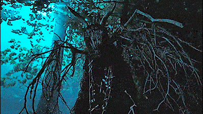 The Scariest Moments on Riverdale | PS Entertainment