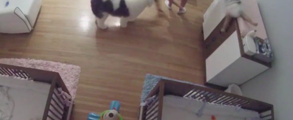 Brother Catches Baby Falling From a Changing Table | PS Family