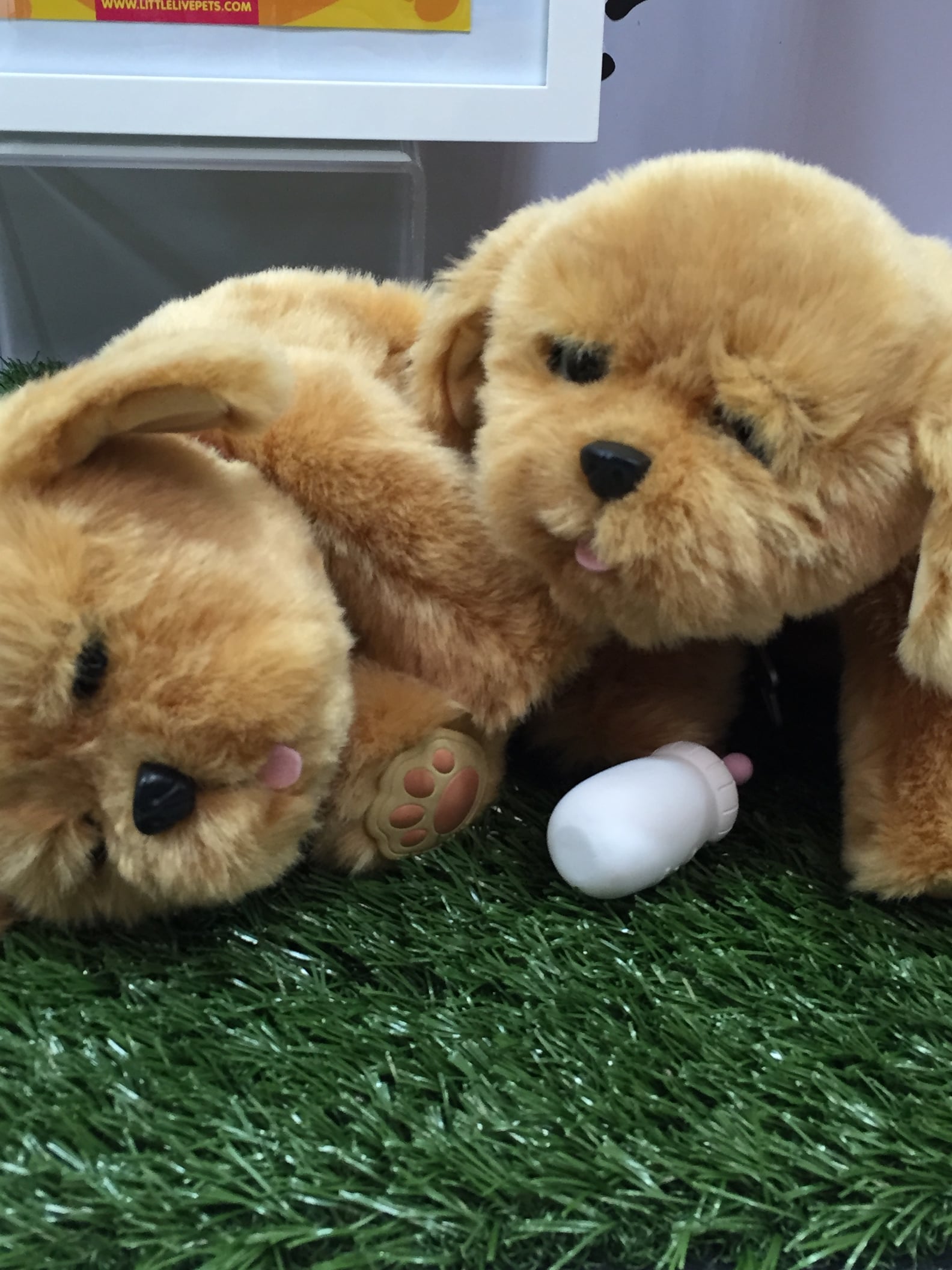 New Toy Trends For 2016 | PS Family