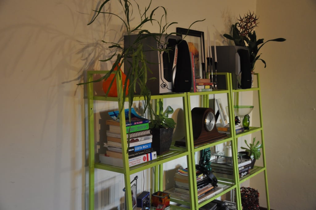 DIY: Green Shelves