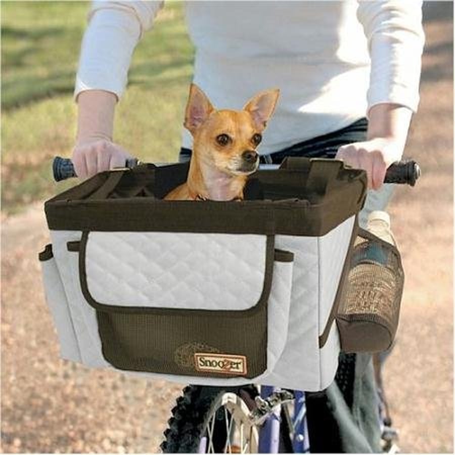 Bicycle Riding With Dogs | PS Pets