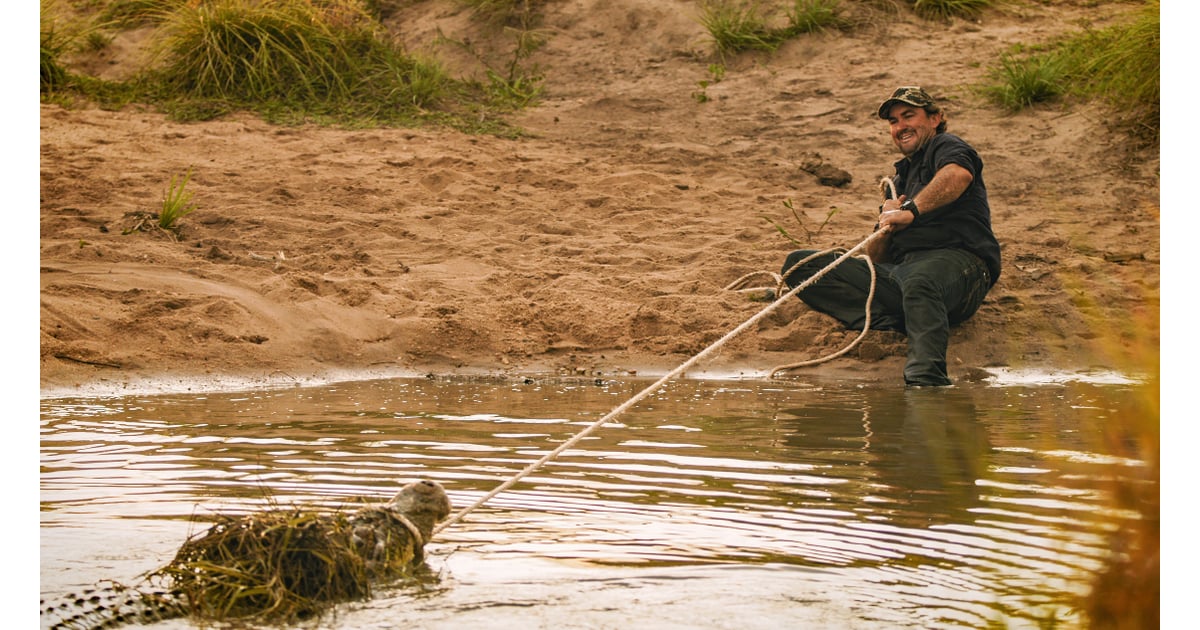 "Wild Croc Territory" | 321 New Netflix Shows to Watch in November 2022 ...